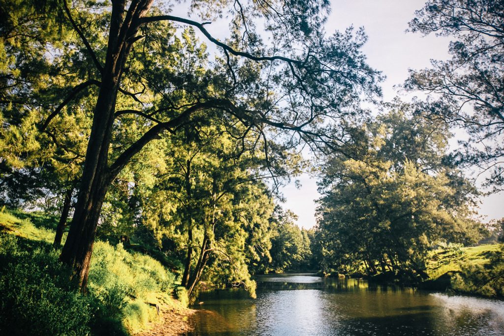 Broger's End – Eco Accommodation in the Kangaroo Valley