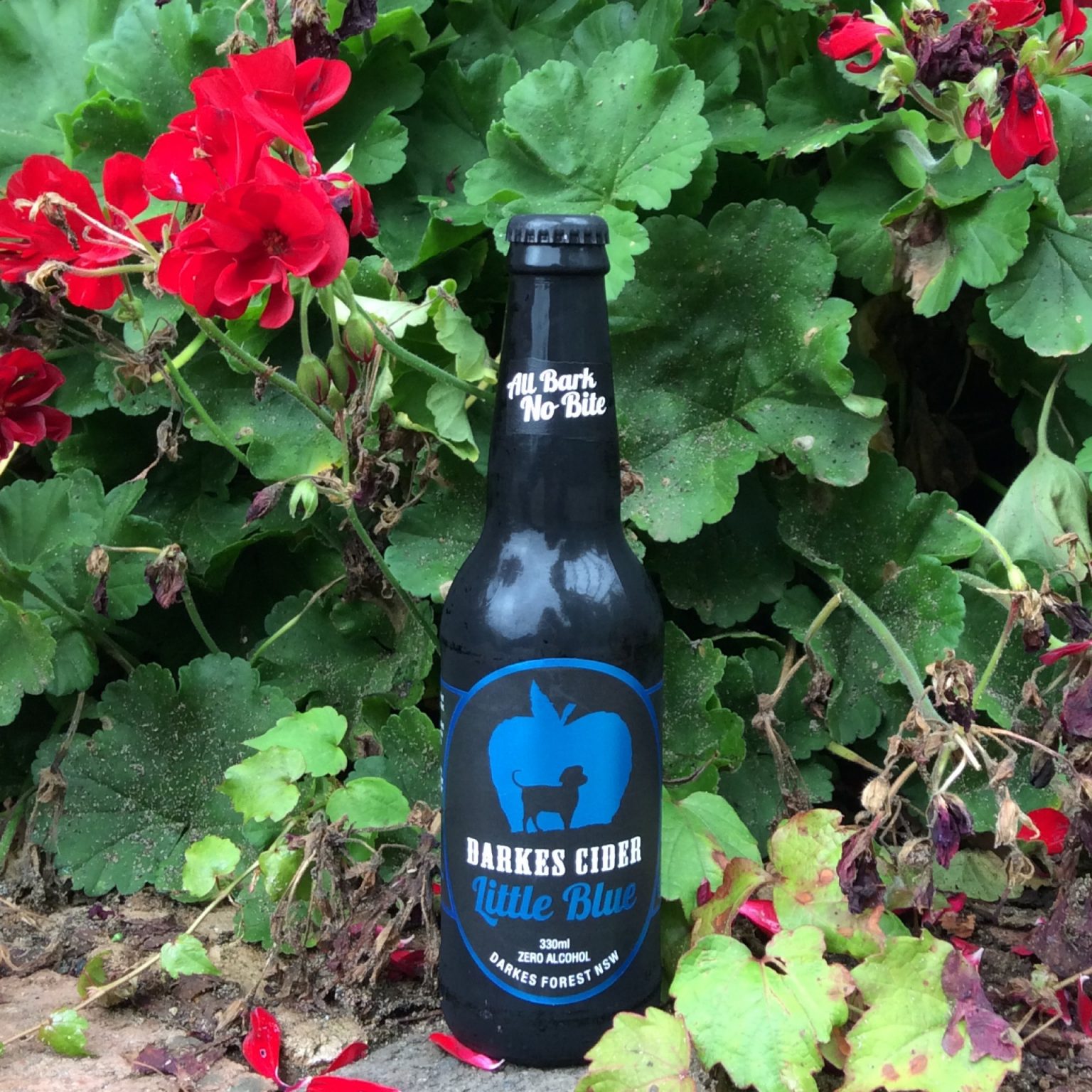 Darkes Cider – Little Blue – Broger's End
